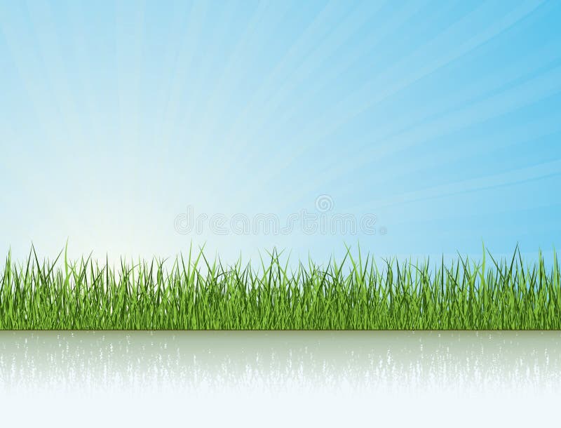 Cross Section of Spring Grass Stock Vector - Illustration of design ...
