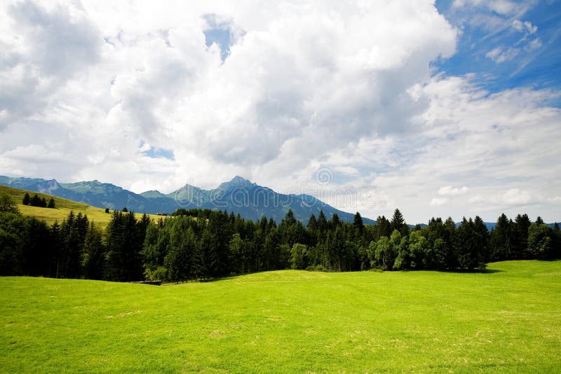 Grass valley in forest stock image. Image of scenery, outlook - 9938869