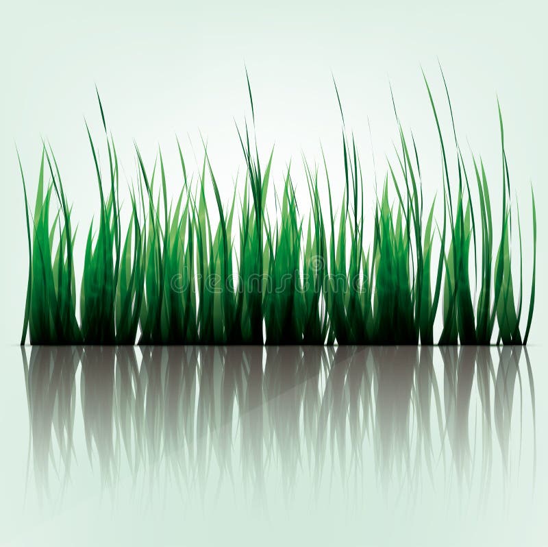 Grass stock vector. Illustration of residential, painting - 33232391