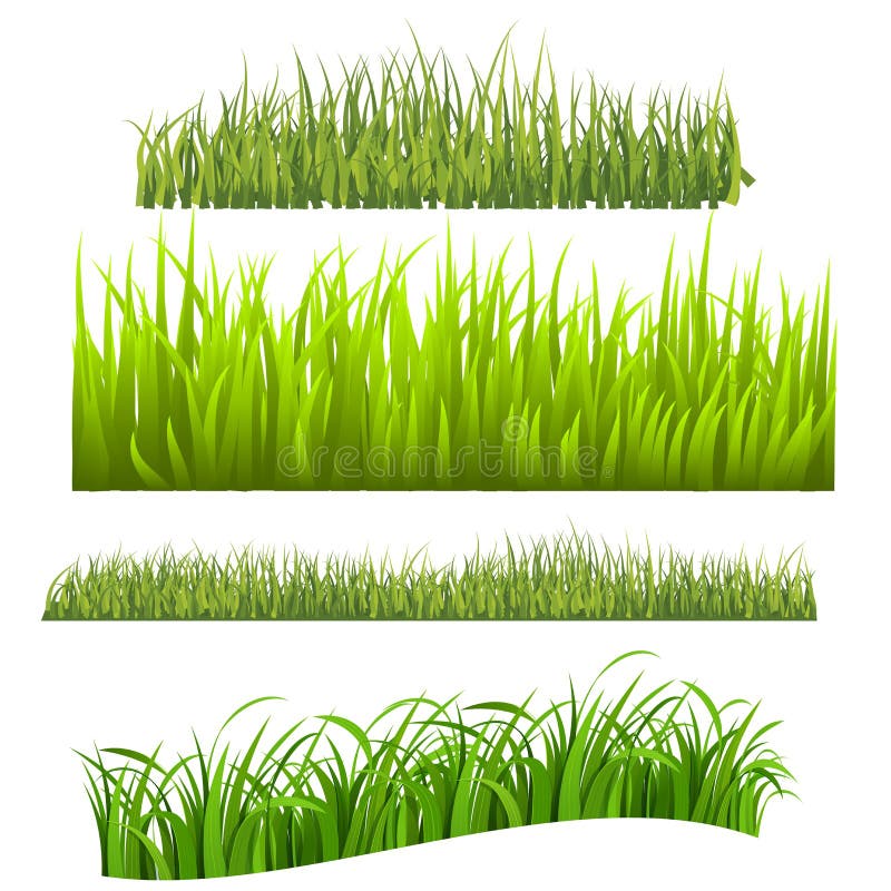 Green grass vector stock vector. Illustration of grass - 9509315