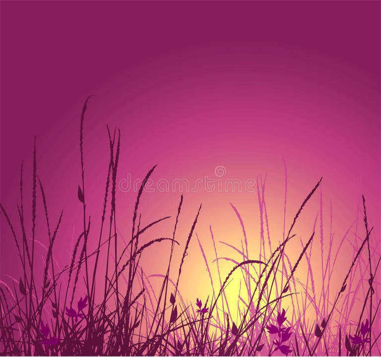 Grass Vector Silhouette and Sunset Stock Vector - Illustration of ...