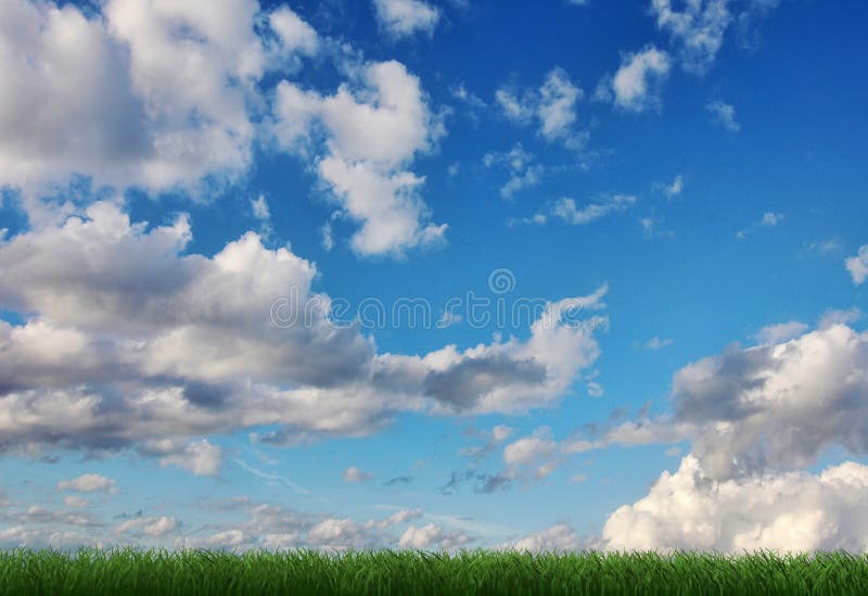 Grass Viewed from a Side at Ground Level. Stock Image - Image of blue ...