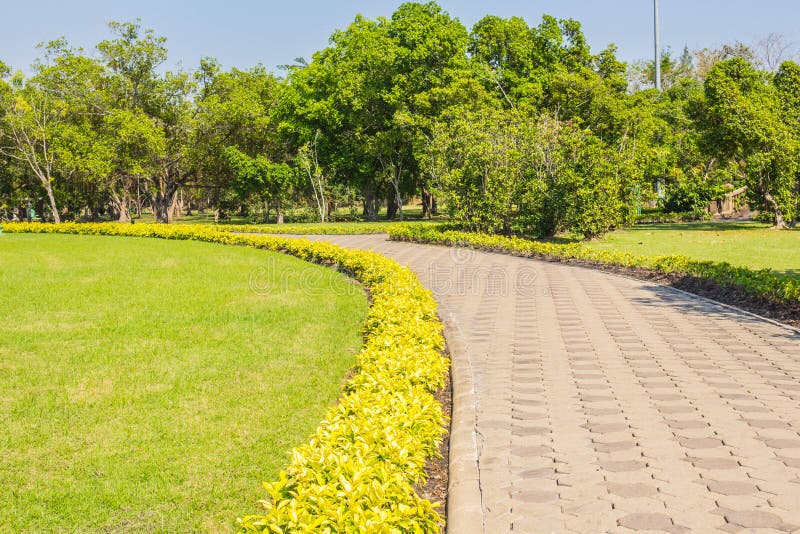 Grass and walk stock image. Image of field, gardening - 51837855