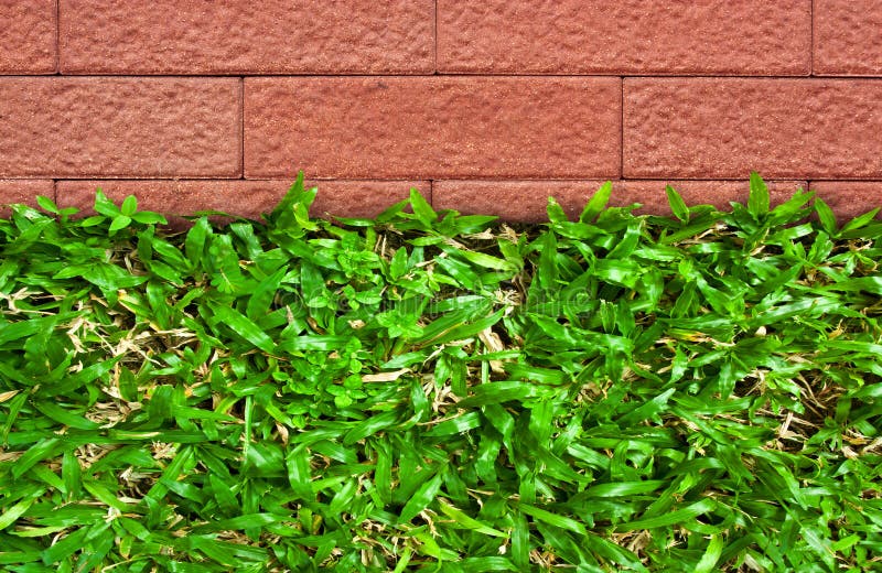 Grass and wall tiles stock image. Image of horizontal - 37935661