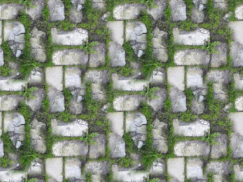 Of Grass in a Wall of White Bricks Stock Photo - Image of trees, stairs ...