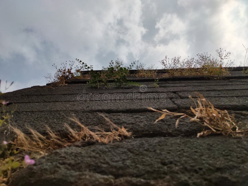 Grass on the Walls of Ancient Built Structure Stock Photo - Image of ...