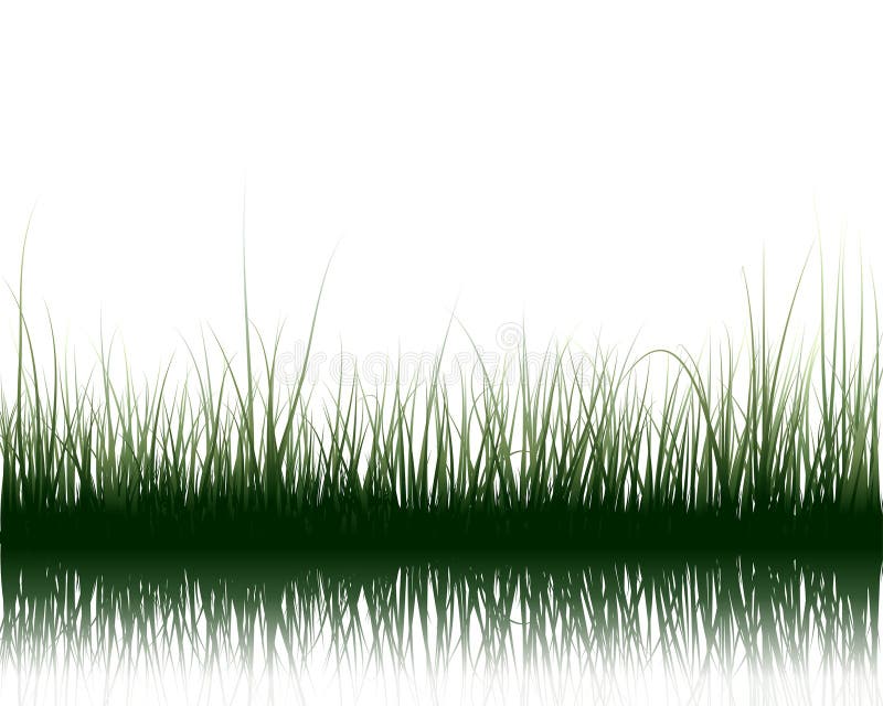 Grass on water stock vector. Illustration of growth, element - 11355356