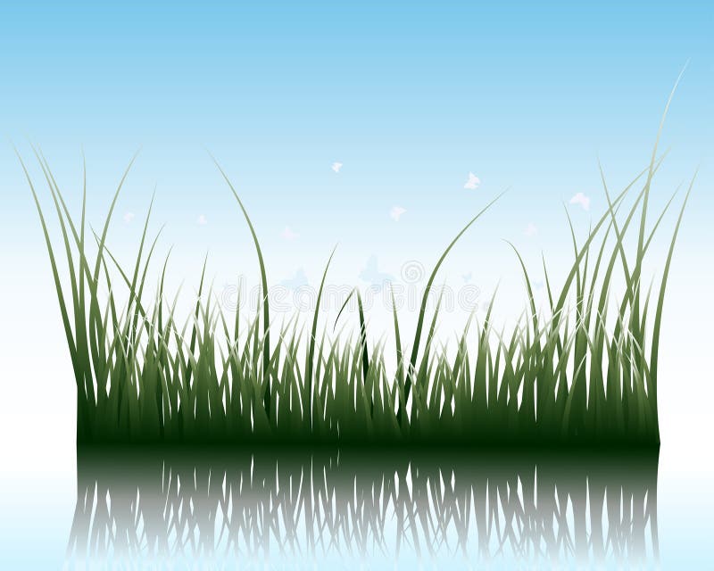 Grass on water stock vector. Illustration of borders - 10853805