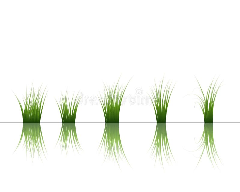 Grass on water stock vector. Illustration of growth, element - 11355356
