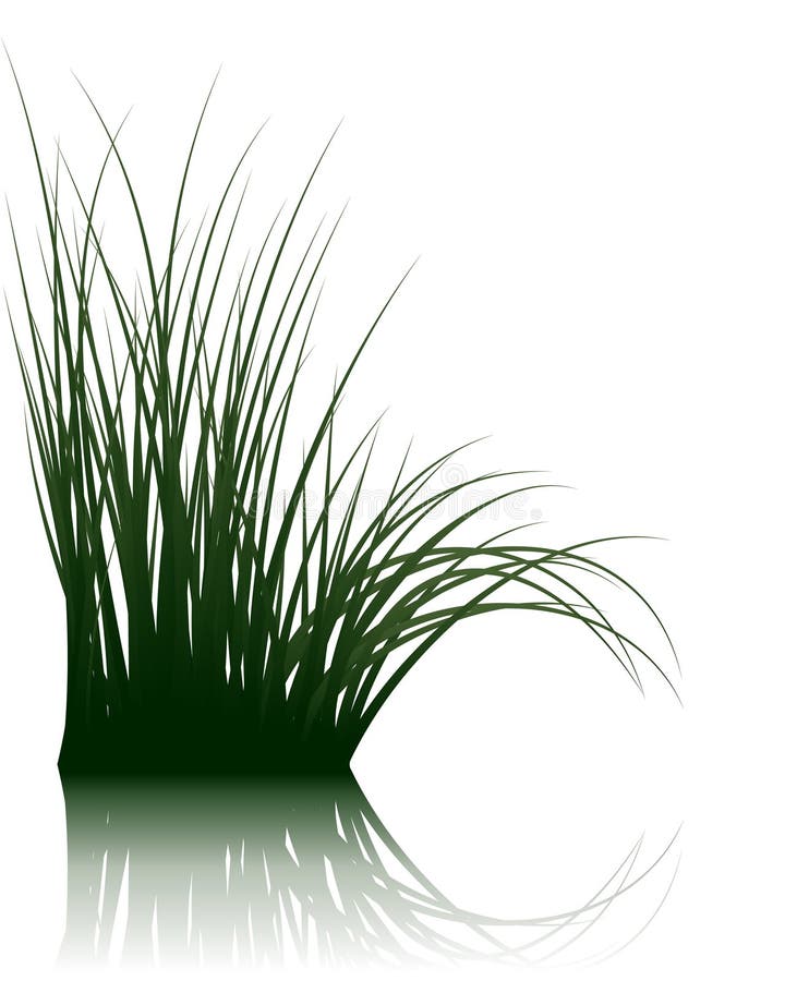 Grass on water stock vector. Illustration of growth, element - 11355356
