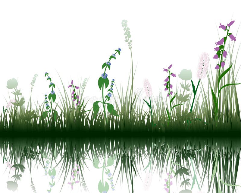 Grass on water stock vector. Illustration of growth, element - 11355356