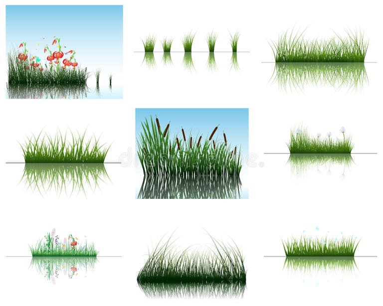 Water Grass Drawing Stock Illustrations – 28,607 Water Grass Drawing ...