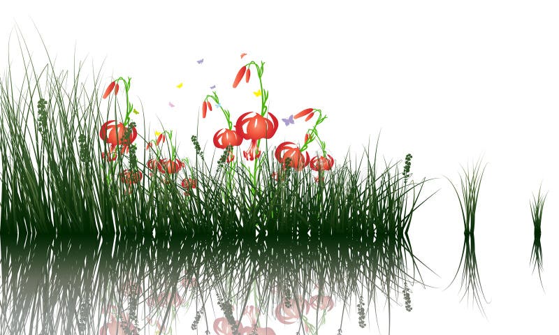 Grass on water stock vector. Illustration of branch, designs - 14784733