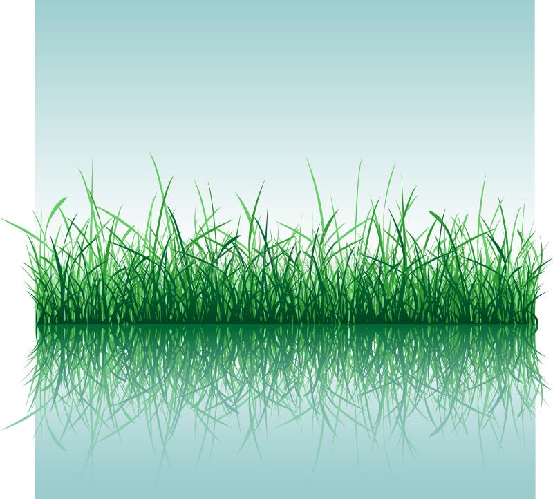 Grass with Water stock vector. Illustration of reflection - 5340994