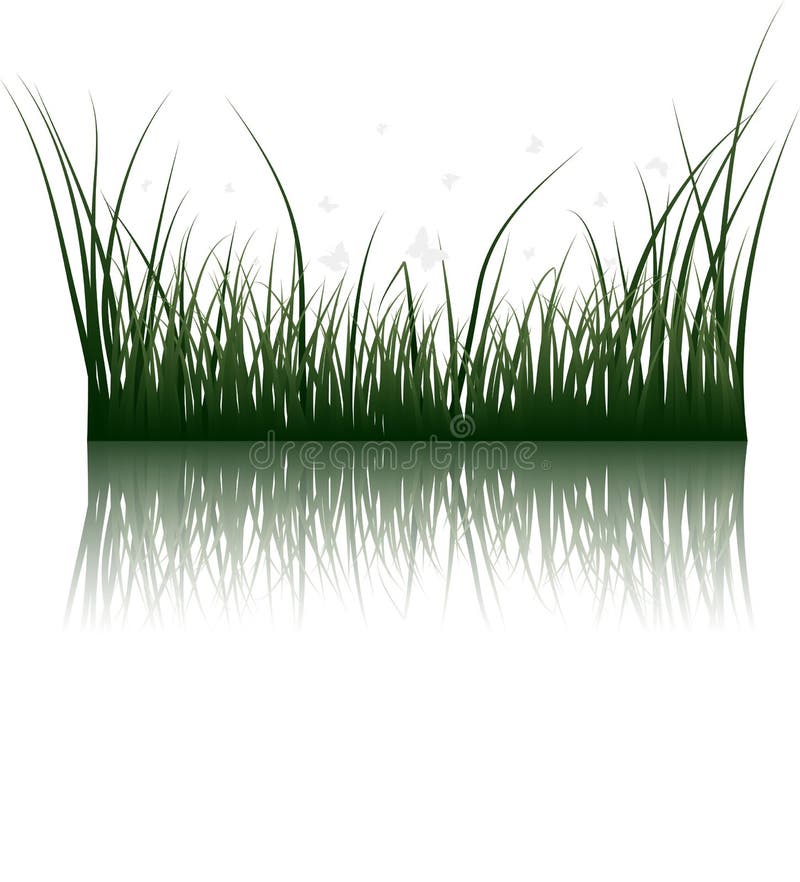 Grass on water stock vector. Illustration of grassland - 10853793