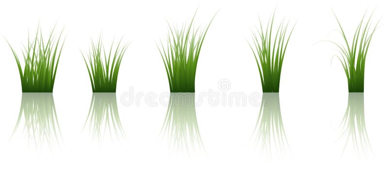 Grass on water stock vector. Illustration of growth, element - 11355356