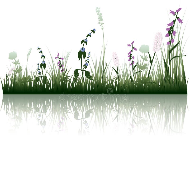 Grass on Water stock vector. Illustration of lawn, bush - 213729981