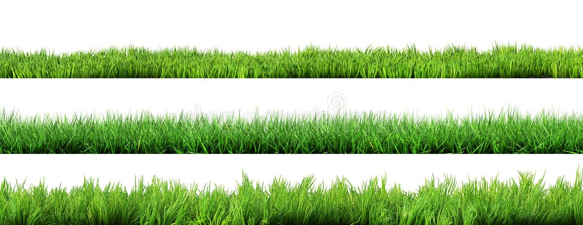 Illustrations & Clipart and 3D & Computer generated Illustrations & Vectors