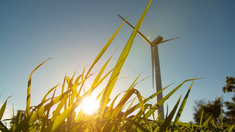 Grass and Wind Turbine at Sunset Stock Image - Image of engineering ...