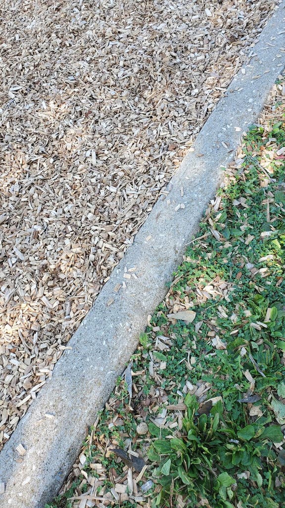 Grass wood chips stock photo. Image of chips, track - 233729298