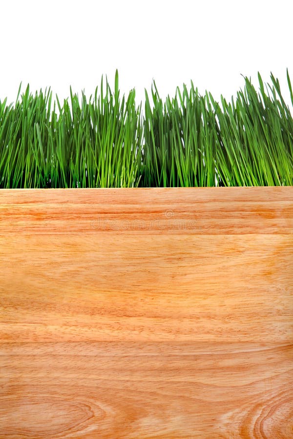 Grass and Wooden Board stock image. Image of background - 39096049
