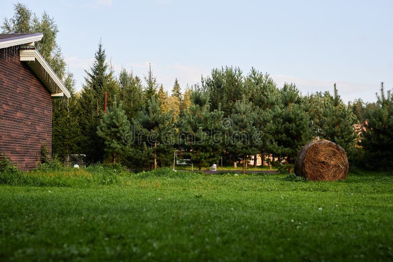 Grass in Yard at Cozy Countryside with Hay Roll Stock Image - Image of ...