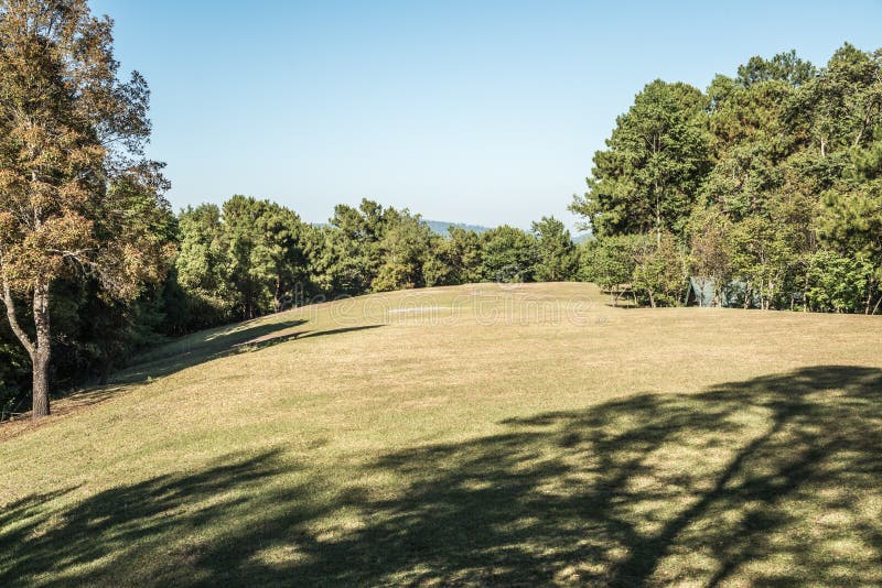 Grass yard on mountain stock photo. Image of grassland - 214153598
