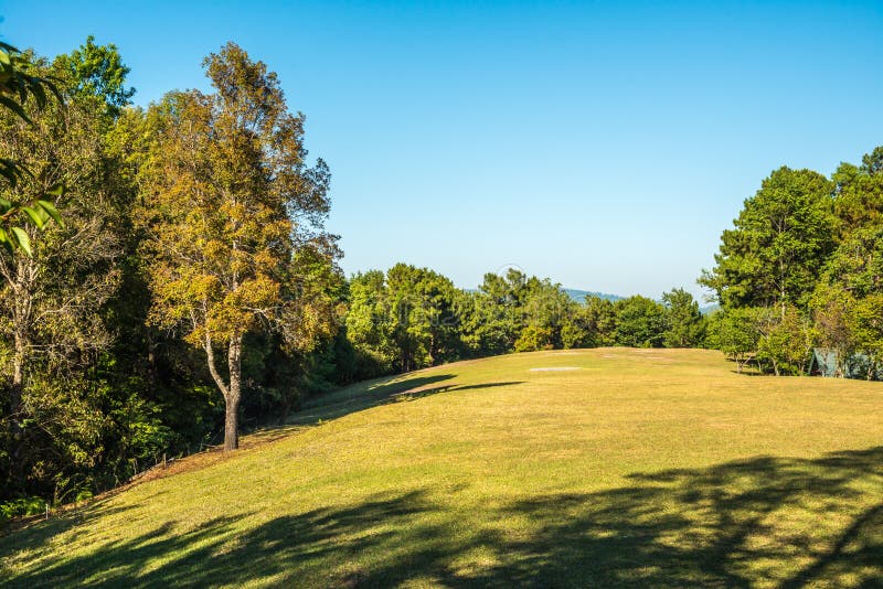 Green grass and blue sky stock image. Image of landscaped - 2499759