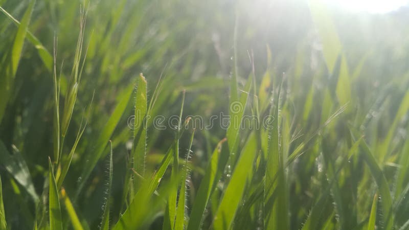 Us Pc Wallpaper 4k Stock Photos - Free & Royalty-Free Stock Photos from ...