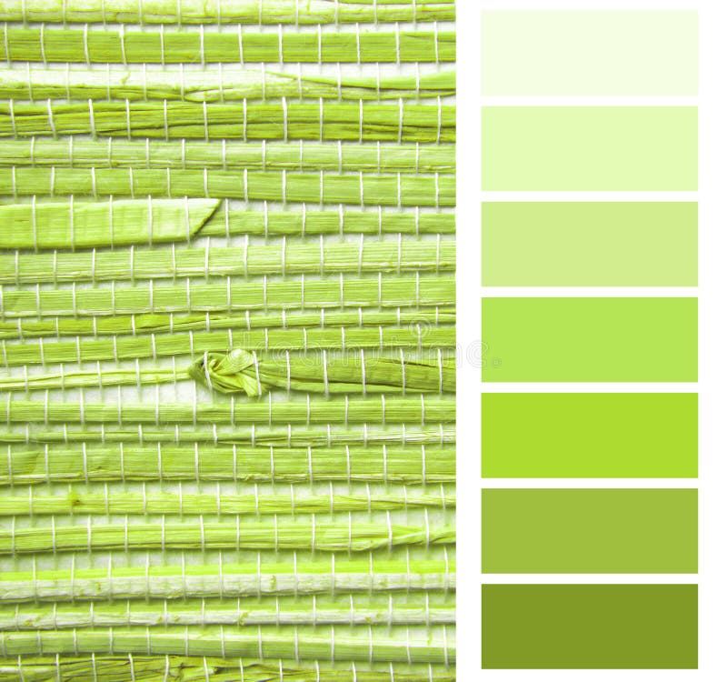 Grasscloth Wallpaper Color Chart Stock Photo - Image of decoration ...