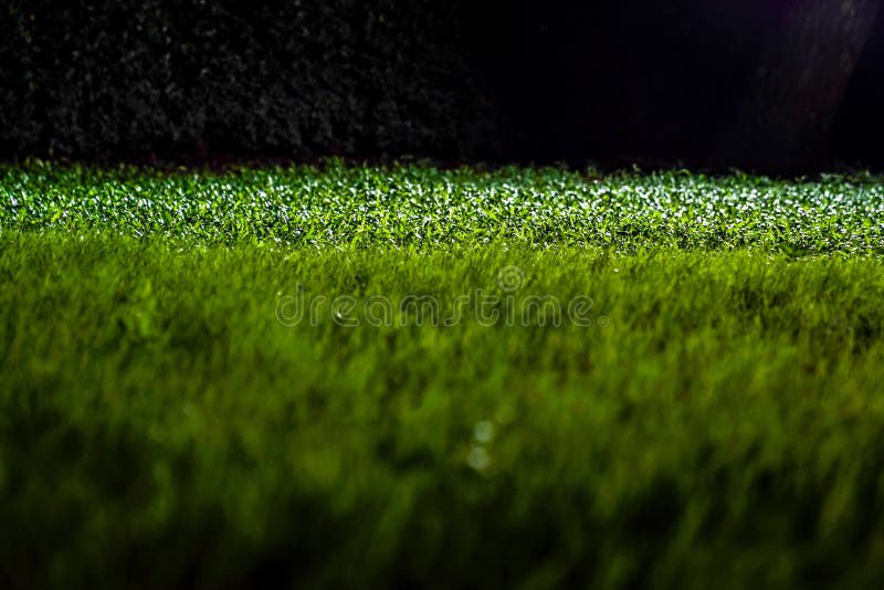 Grasses on the Ground in the Dark Night Garden with Spotlight Light ...
