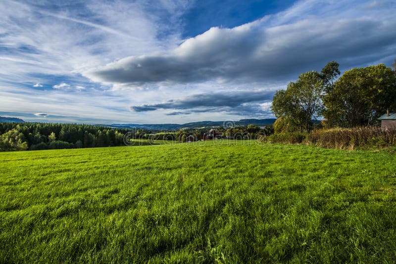 Horizontal de Grassfield image stock. Image du pays, extérieur - 20974747