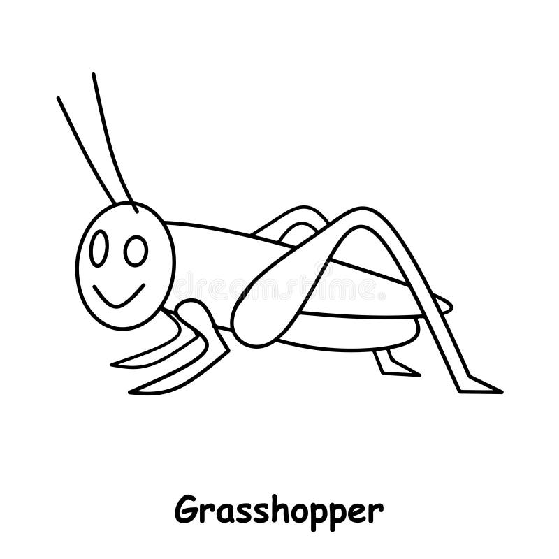 Grasshopper Children Book Illustration, Trace and Coloring Vector World ...