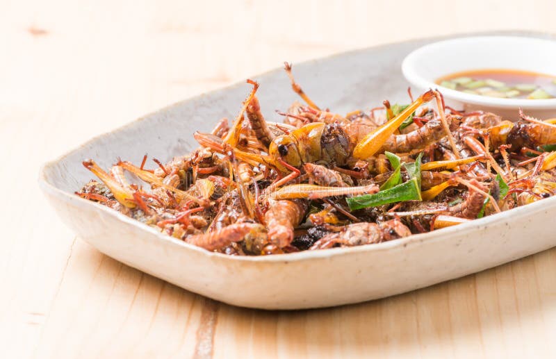 Grasshopper Fried in Chopstick Stock Image - Image of protein, bugs ...