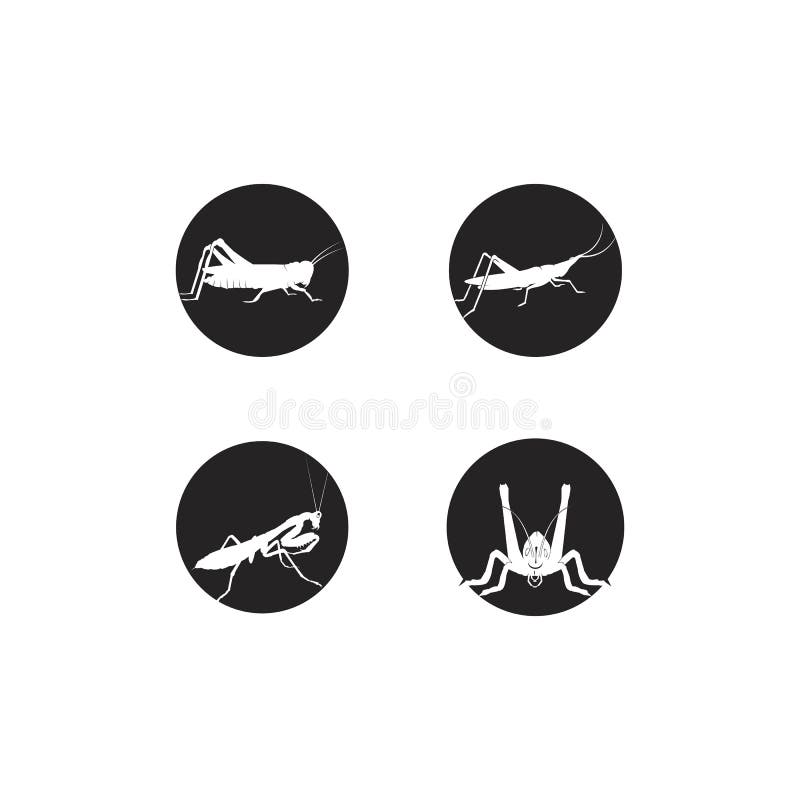 Grasshopper icon stock vector. Illustration of insect - 247112164