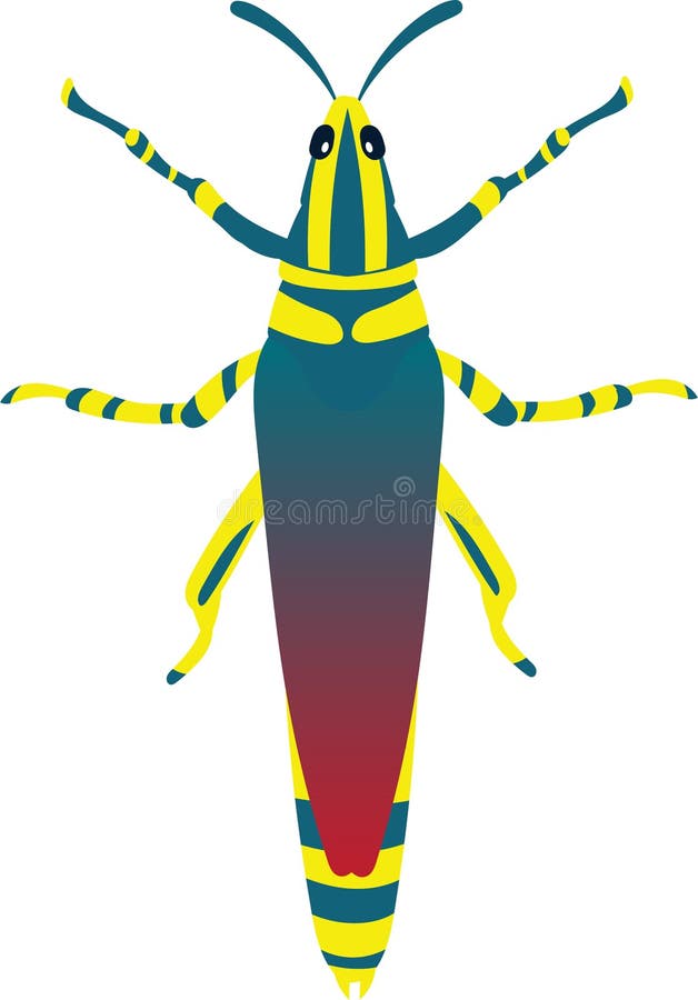 Grasshopper or Locust stock vector. Illustration of color - 255524591
