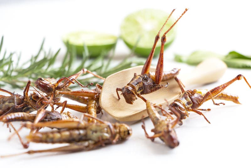 Grasshoppers or Locust with Lime on the White Table. the Concept of ...