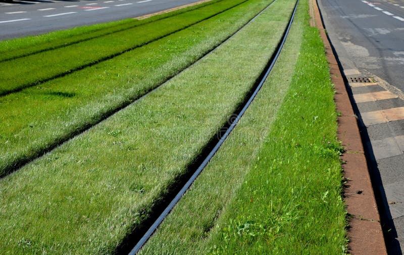 Grassing of Train Tracks between Tram Tracks in the City. Stock Image ...