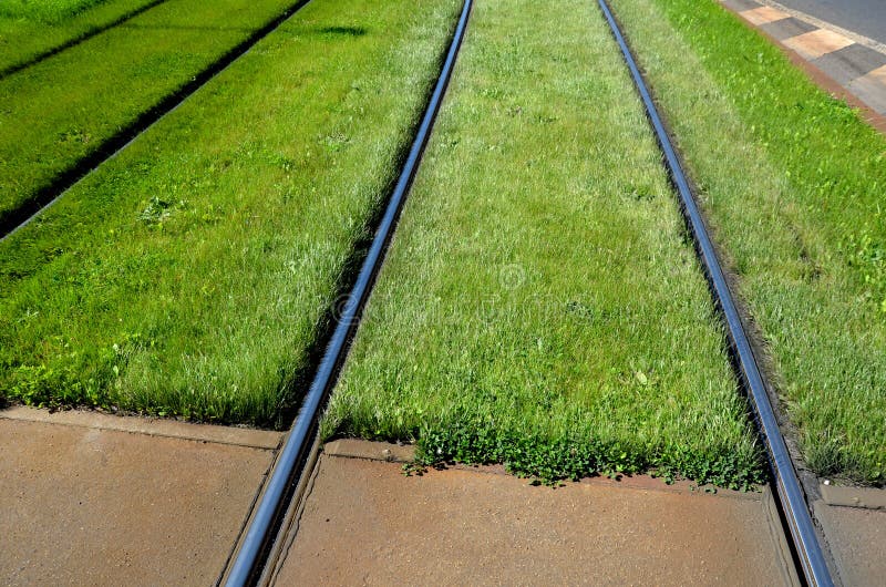 Grassing of Train Tracks between Tram Tracks in the City. Stock Image ...