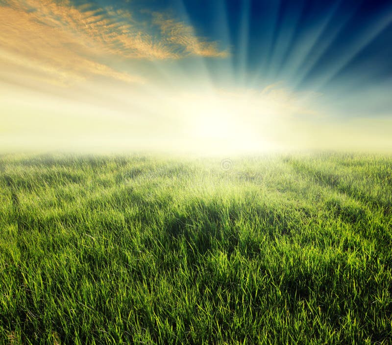 Grassland stock photo. Image of rural, sunlight, outdoors - 13639204
