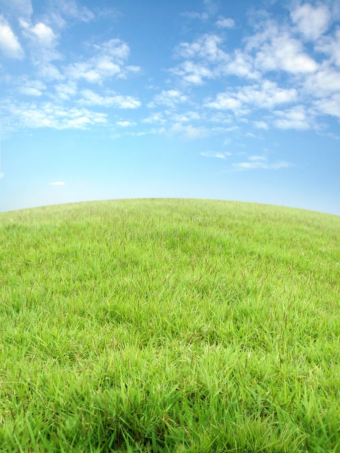 Grassland stock image. Image of prairie, grassland, cloud - 18633081