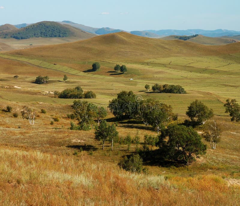 Grassland stock image. Image of beautiful, asia, endless - 21398613