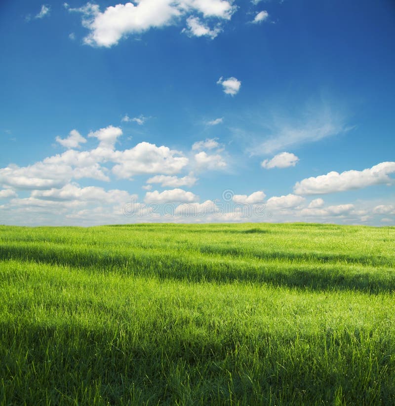 Grassland stock photo. Image of country, freshness, grassland - 2675218