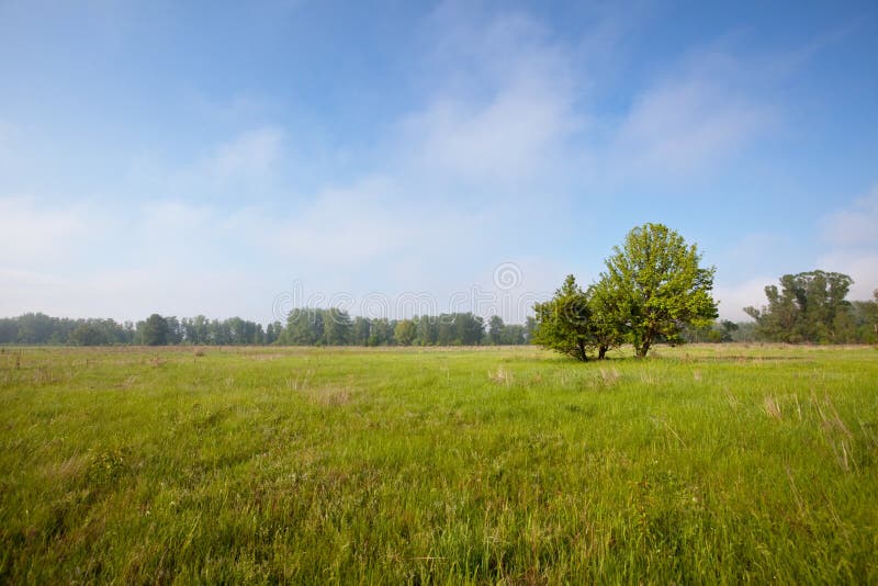 Grassland stock image. Image of land, hills, spring, grassland - 54172445
