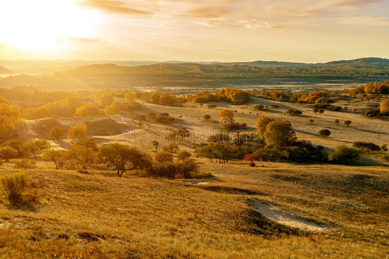 Grassland and Birch Forest, Inner Mongolia, China Stock Photo - Image ...