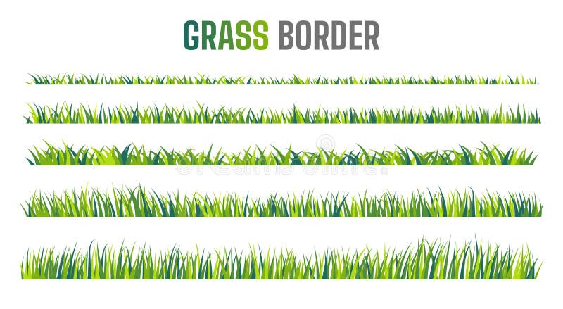 Grassland Border Vector Pattern Green Lawn in Spring the Concept of ...