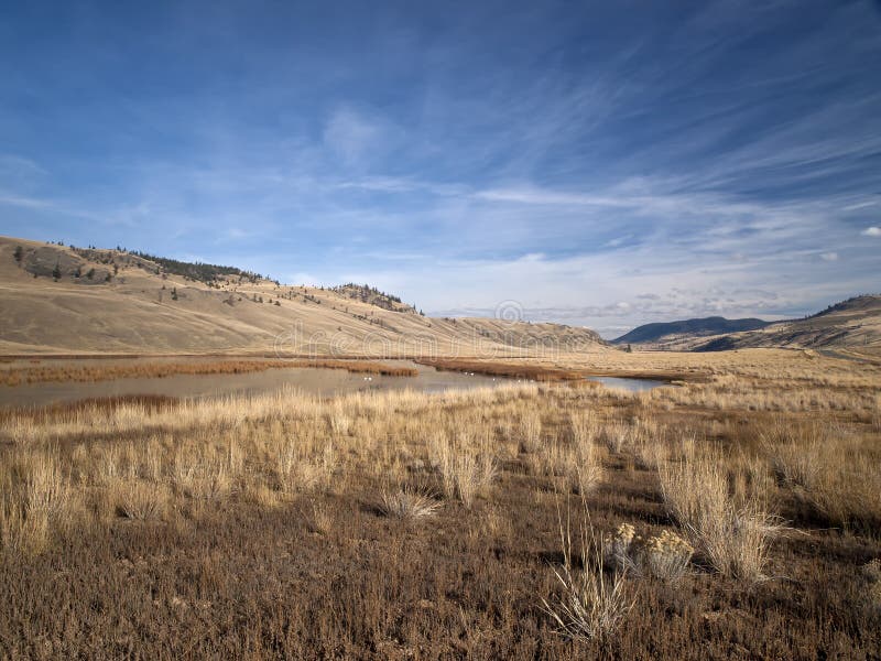 Grassland stock image. Image of tranquil, mountain, grassland - 39081711