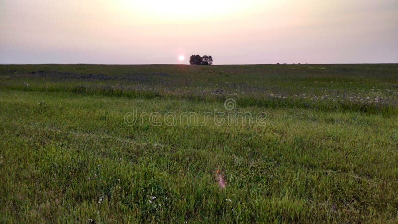 Grassland, Ecosystem, Prairie, Field Stock Photo - Image of field ...