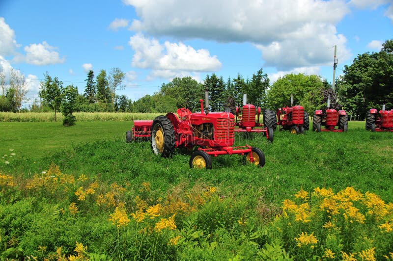 Grassland, Field, Agriculture, Farm Picture. Image: 121708211
