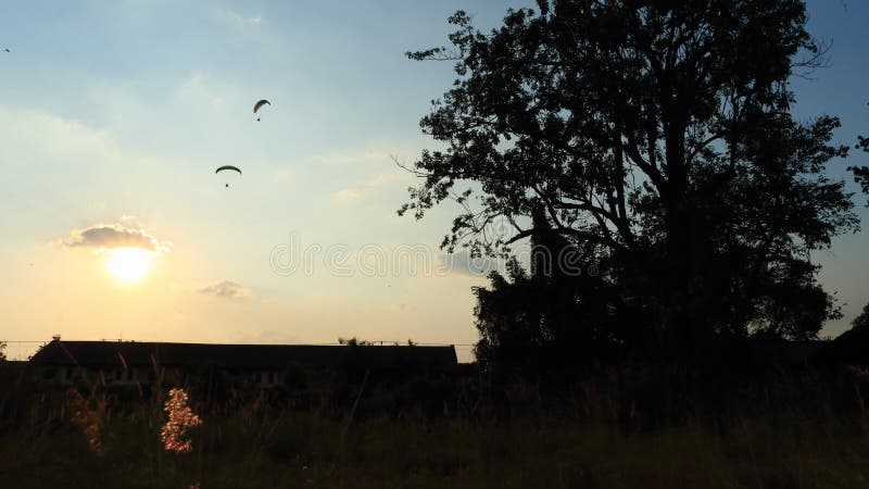Grassland Forest Two People Flying Paramotor in the Sky Stock Photo ...